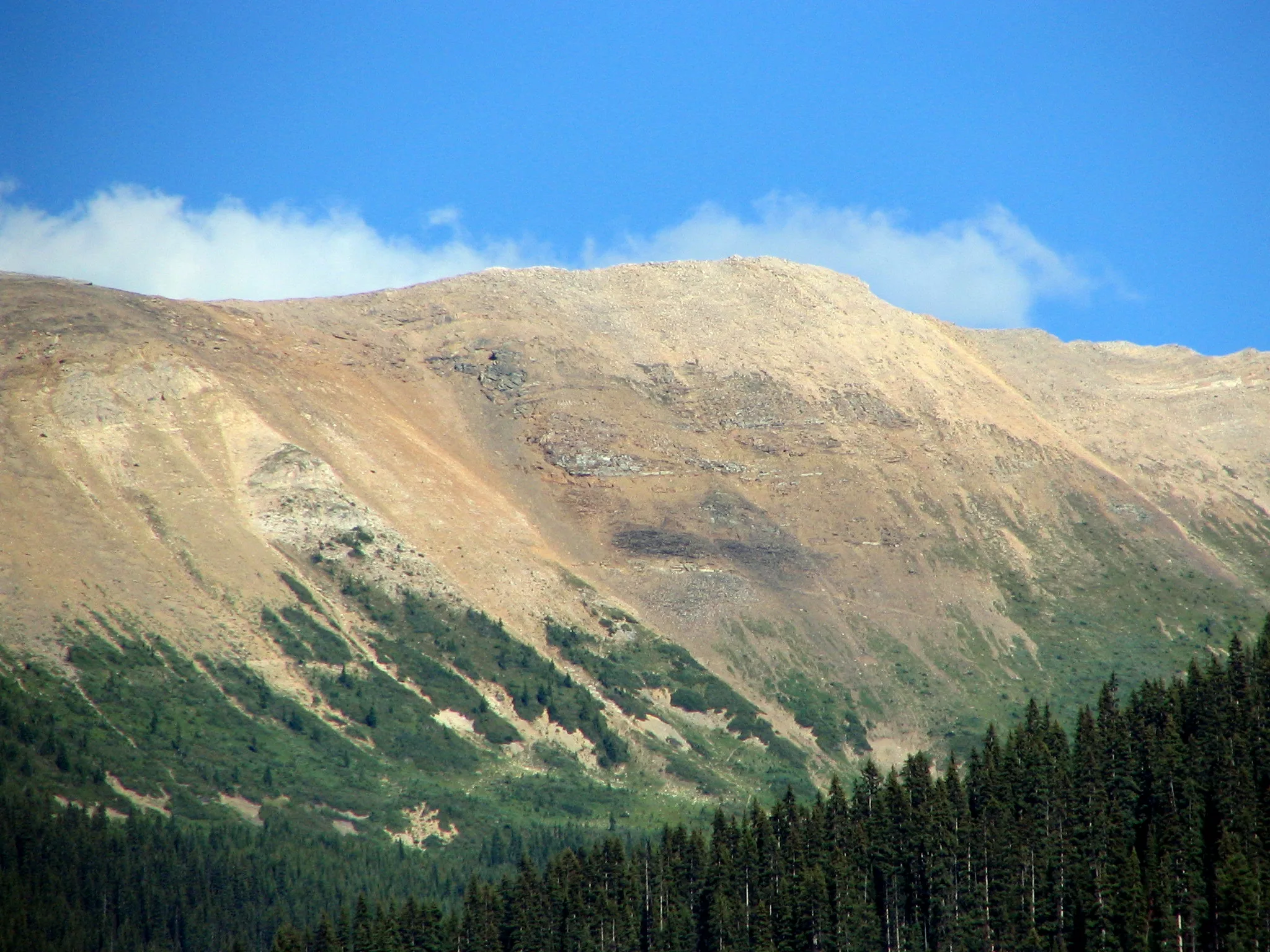 Burgess Shale - Canadian Rocky Mountain Resorts